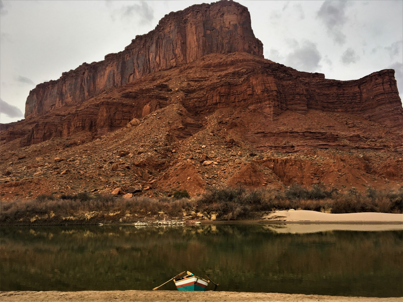 Songbird Oars – Handcrafted wood oars