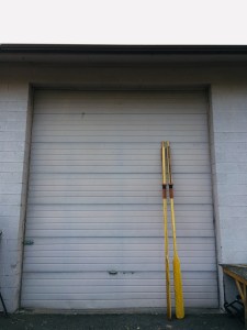 Songbird Oars – Handcrafted wood oars