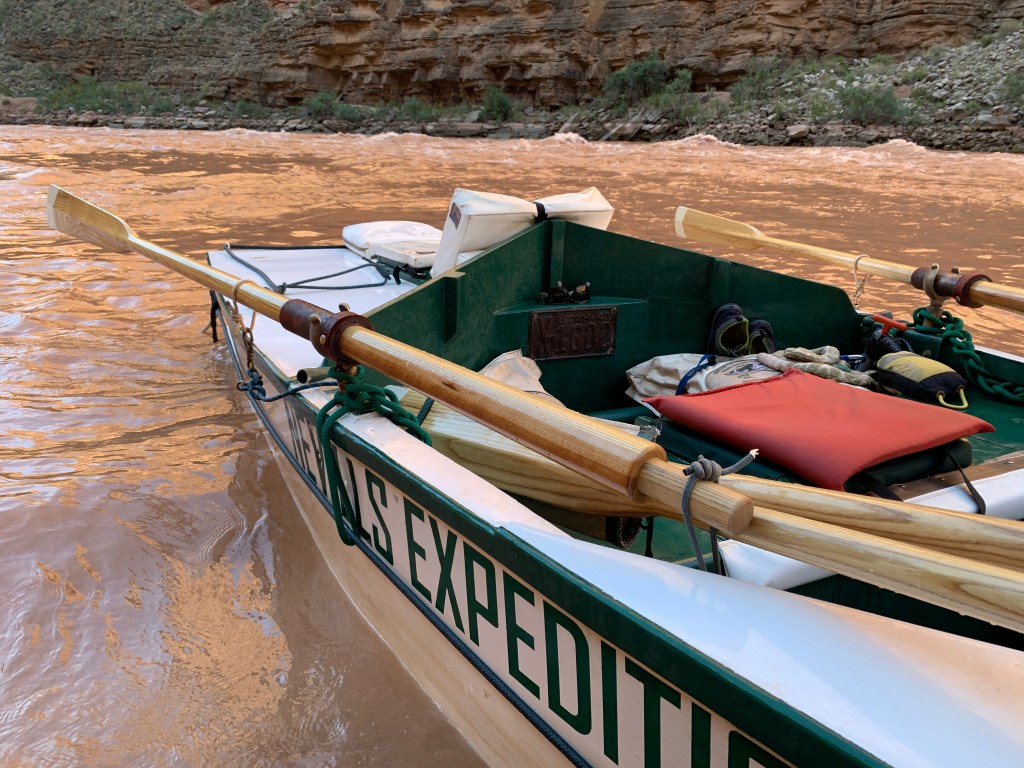 Songbird Oars – Handcrafted wood oars